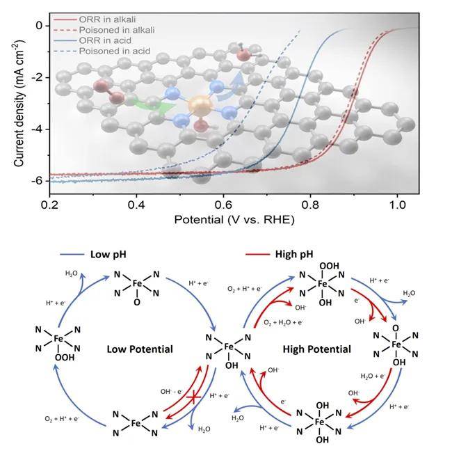 清华大学在高稳定燃料电池非贵金属催化剂及催化活性结构解析获进展_稳定性