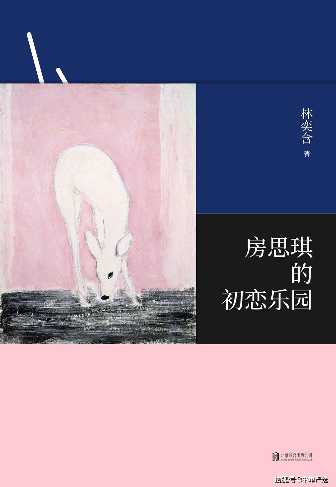 《房思琪的初恋乐园》林奕含 azw3+mobi+epub+txt kindle电子书下载-搜狐大视野-搜狐新闻