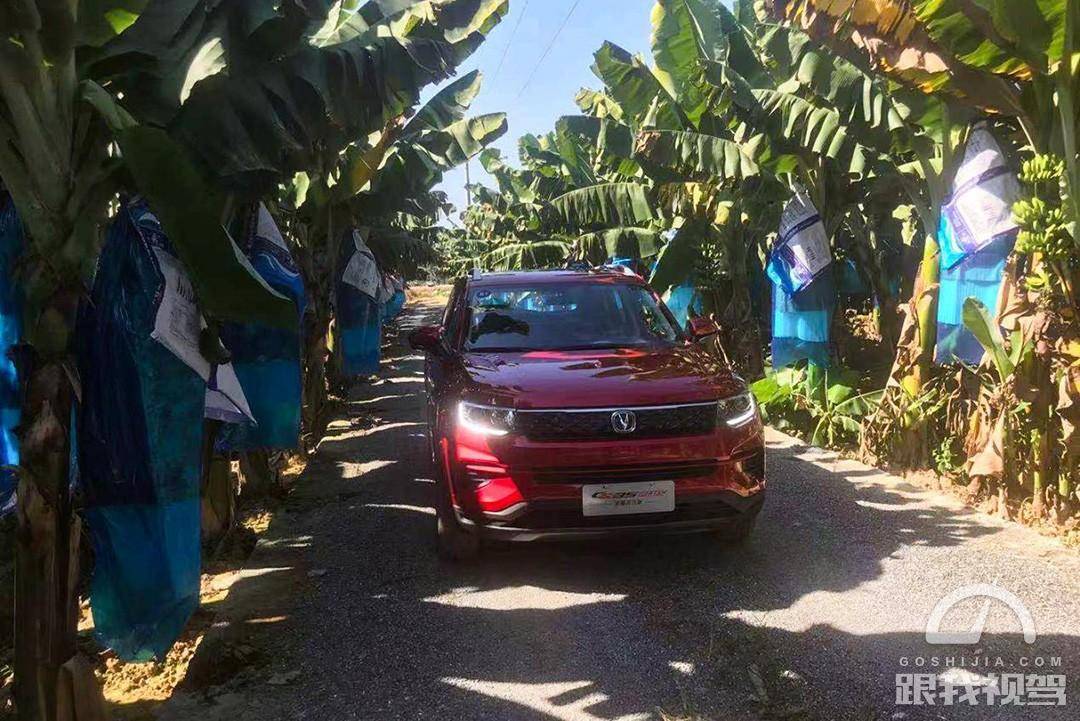 颜值当道 实力不俗 6.99万起售试驾长安CS35PLUS_搜狐汽车_搜狐网