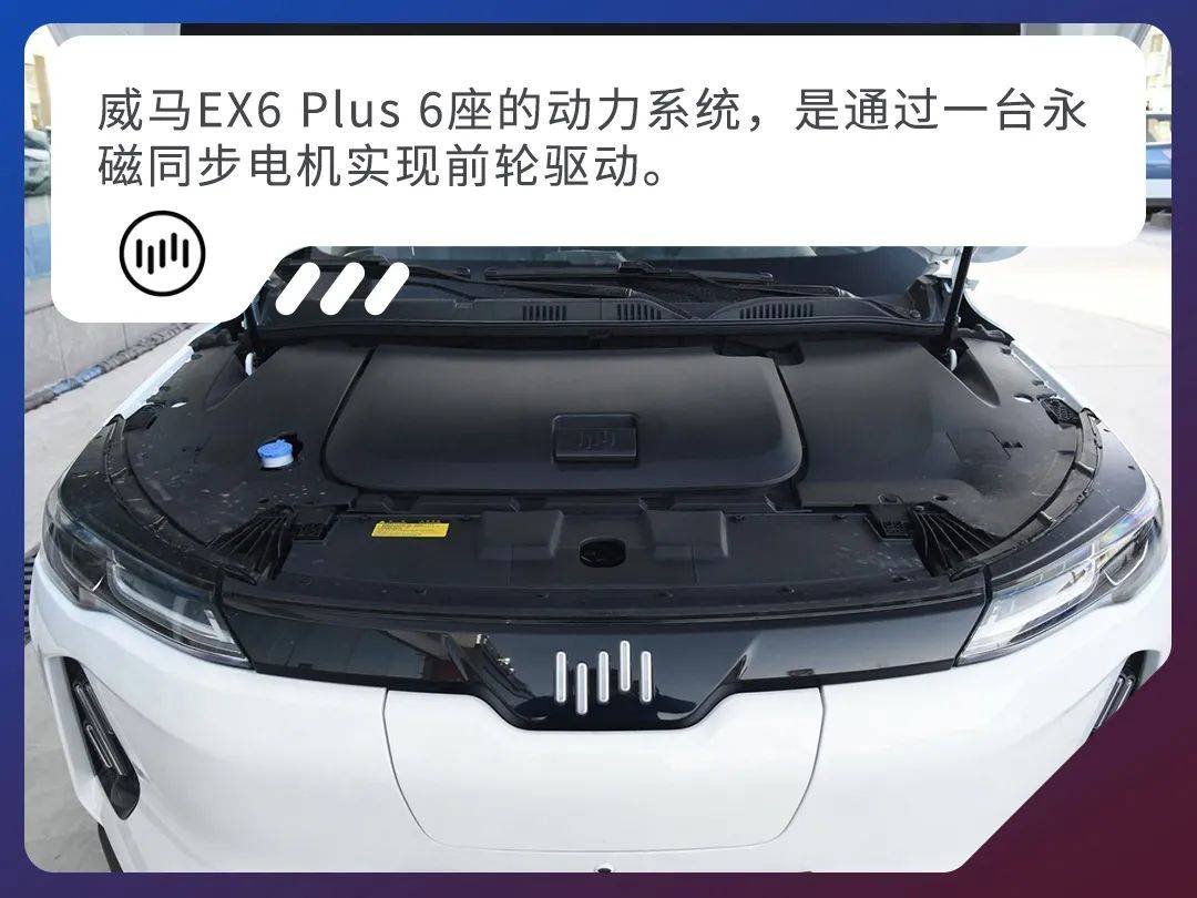 “二胎家庭首选纯电SUV” 威马EX6 Plus 6座静态解析_搜狐汽车_搜狐网