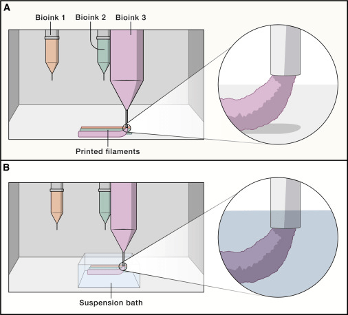 Cell主刊史上首篇生物3D打印综述Bioprinting for the Biologist-搜狐大视野-搜狐新闻