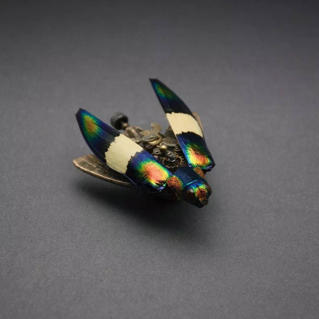 机械昆虫艺术家 Mike Libby-搜狐大视野-搜狐新闻