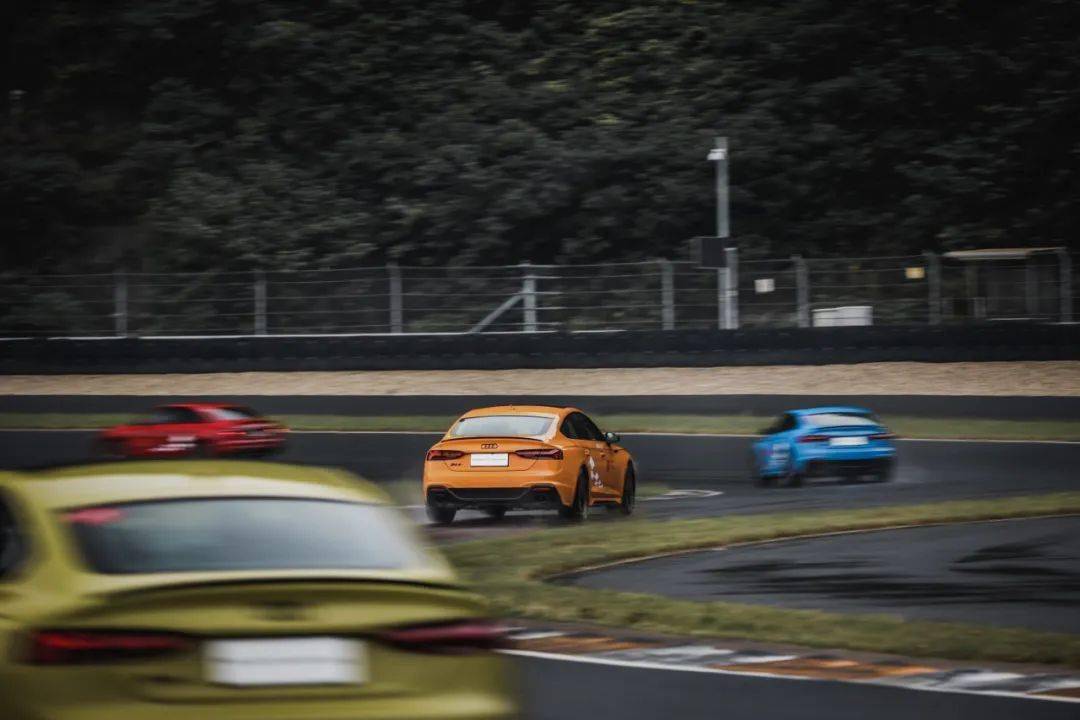 上山路，下赛道，雨天ESC都不需要——RS 4 / RS 5实在太好开_搜狐汽车_搜狐网