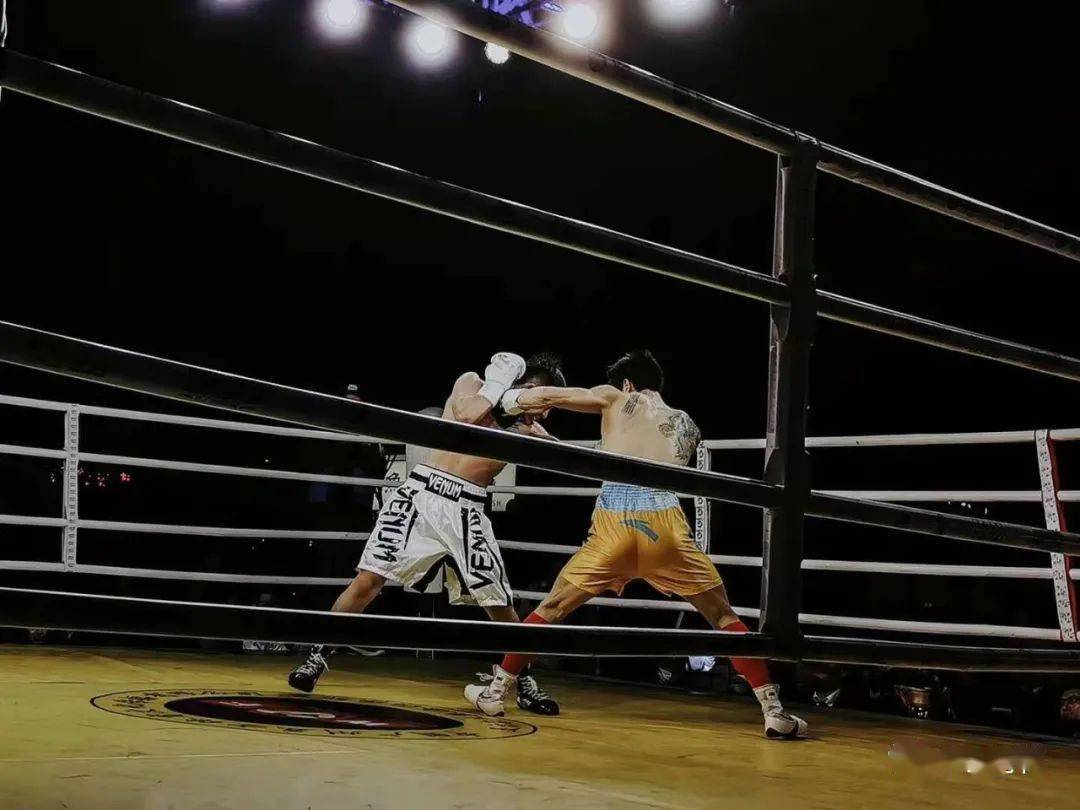 WBA/WBC双头衔拳王争霸赛，老将阿暴双金加身-搜狐大视野-搜狐新闻