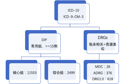 【DRG多广角】DRG适合三甲医院，DIP在二三线城市更有优势-搜狐大视野-搜狐新闻