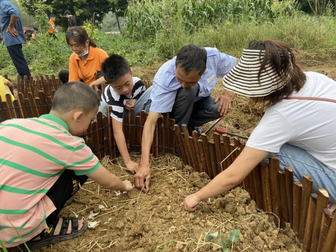 不一样的共享农场，“向往的生活”从龙驰启航～-搜狐大视野-搜狐新闻