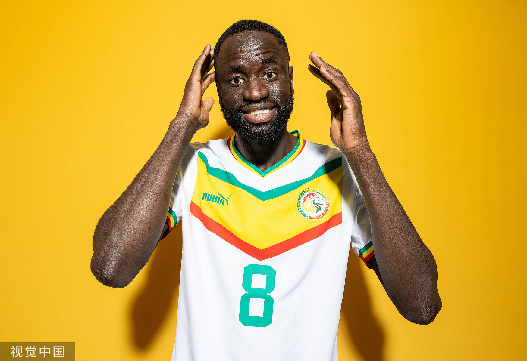 高清图：2022卡塔尔世界杯 塞内加尔队官方写真集-搜狐大视野-搜狐新闻