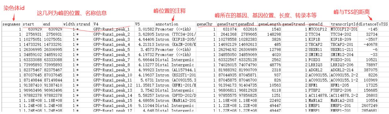 使用R包ChIPseeker实现对ChIP-seq peaks的注释_bed