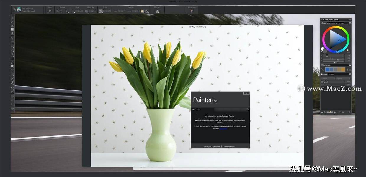 Corel Painter 2021 for Mac(专业美术绘图软件)_绘画