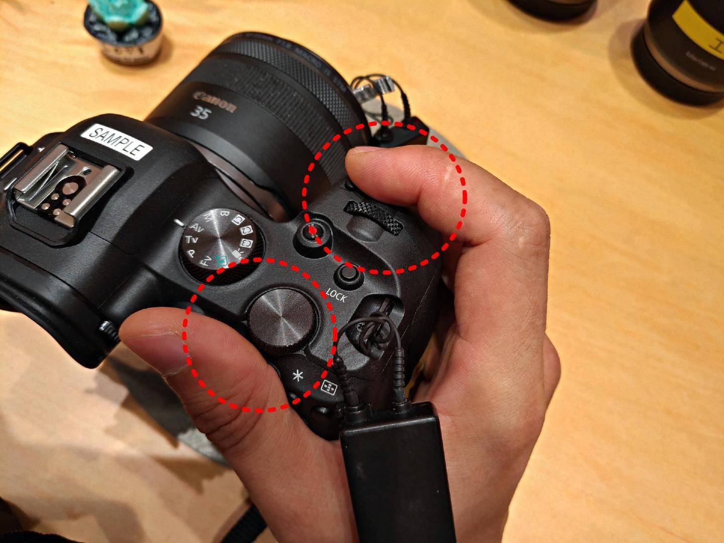 真香？佳能R5/6的一些主客观体验及对比-搜狐大视野-搜狐新闻