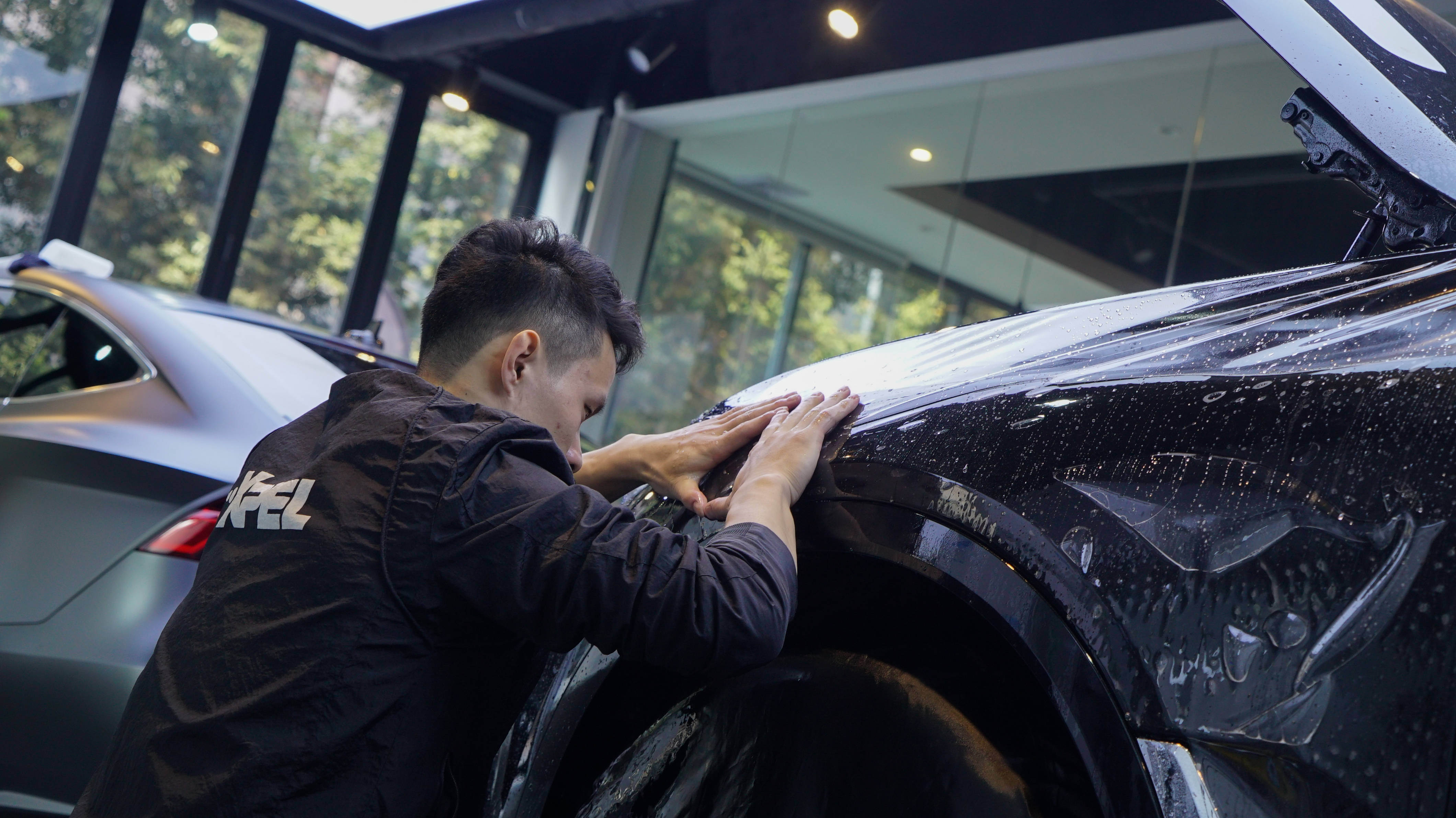 XPEL DAP专车专用是什么意思？_搜狐汽车_搜狐网