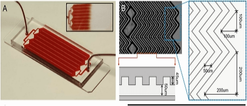 循环肿瘤细胞（CTC）分离技术概述_进行