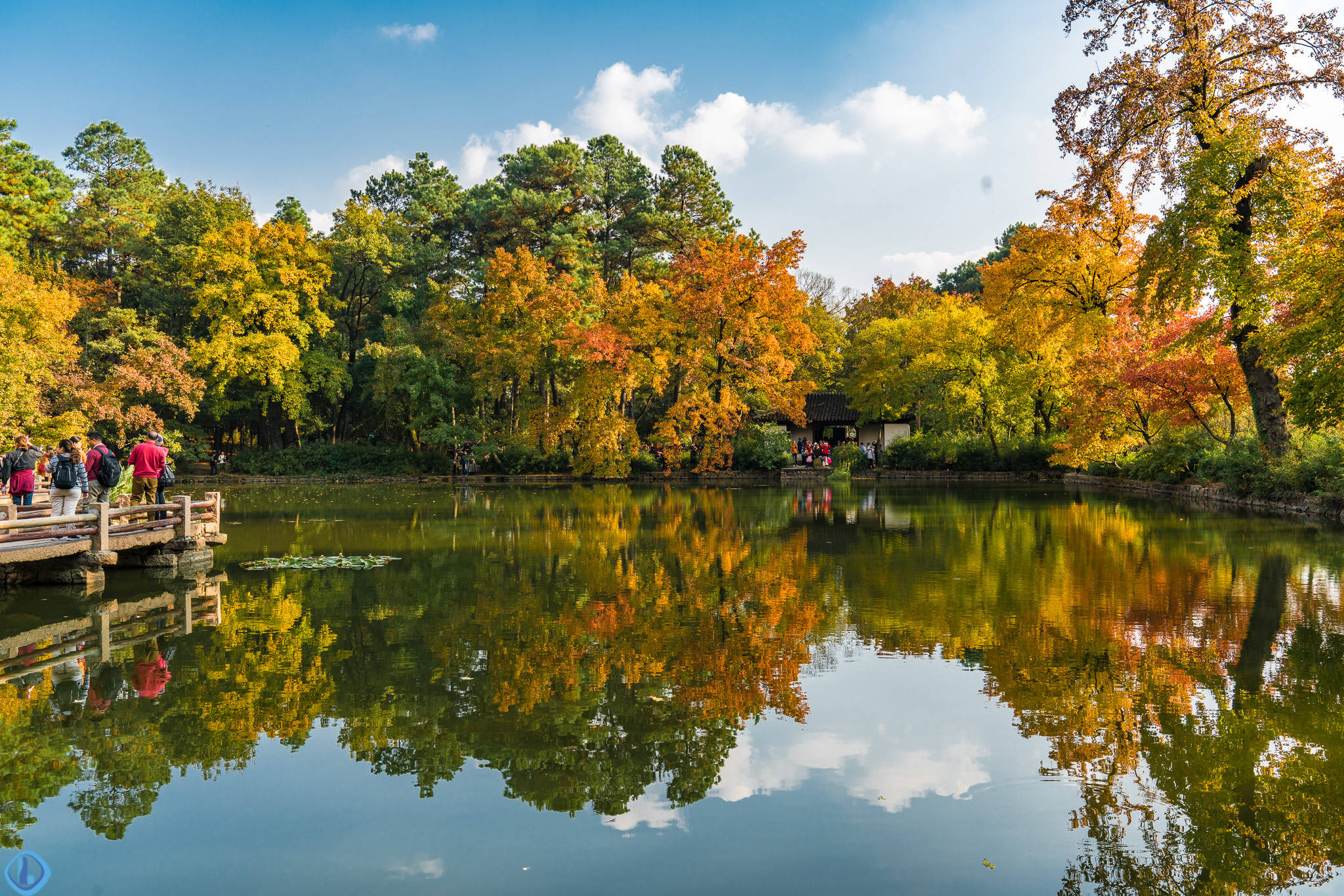 天平山红枫-搜狐大视野-搜狐新闻