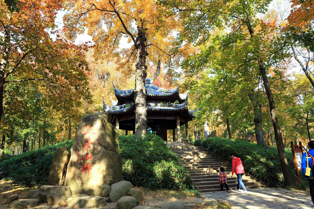 天平山红枫-搜狐大视野-搜狐新闻