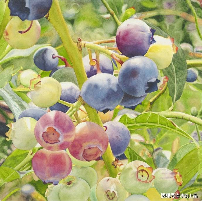 美国画家Cara Brown水彩画作品选集 -6park.com