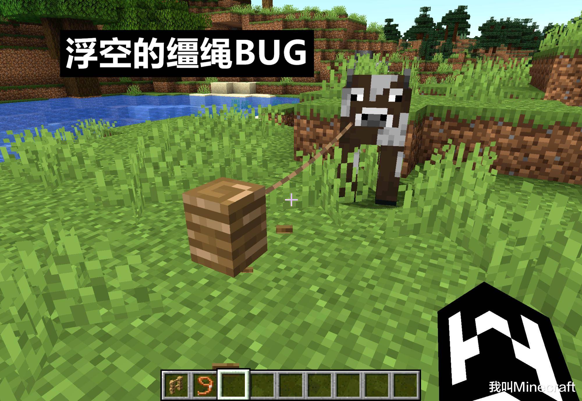 我的世界：mc兔子会“自杀”？我不说，你永远不会知道的13个古老BUG_玩家