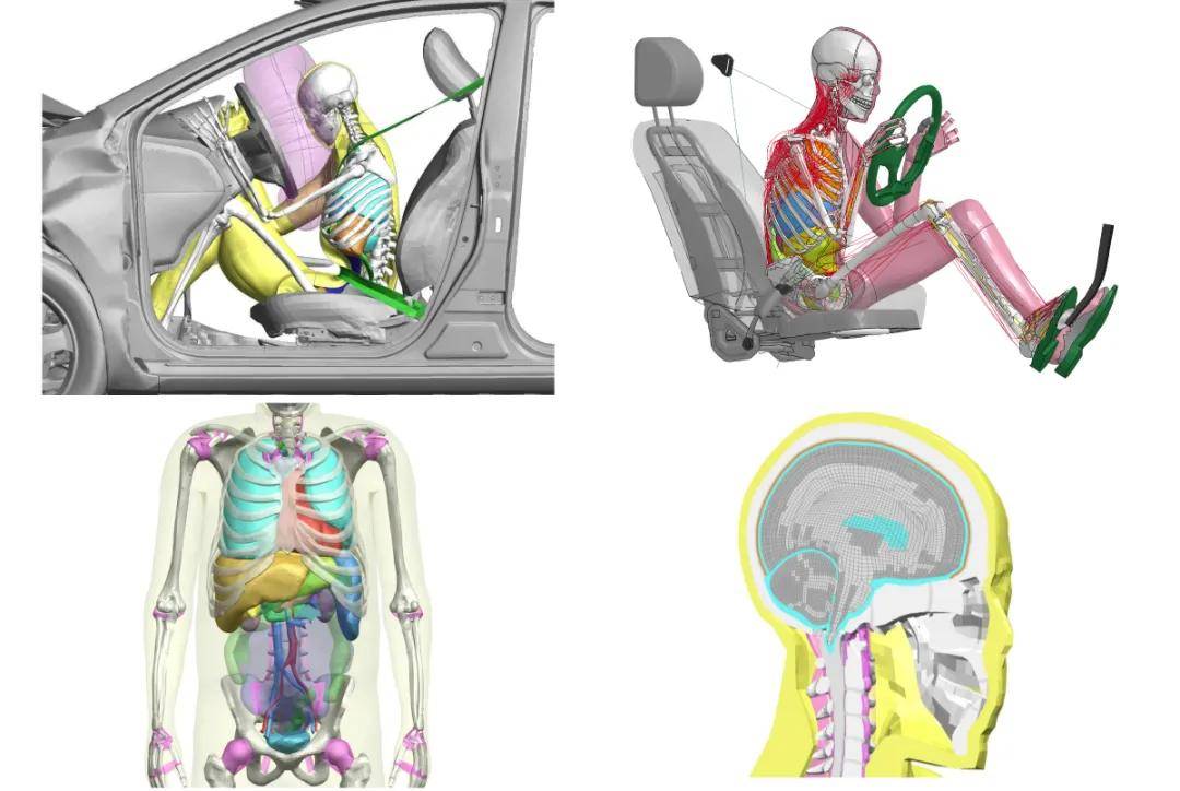 无需假人的碰撞测试，“THUMS”是什么？_搜狐汽车_搜狐网