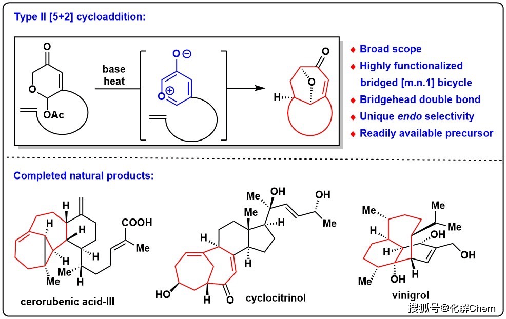 【大家】李闯创——Type II [5+2]+全合成_Total