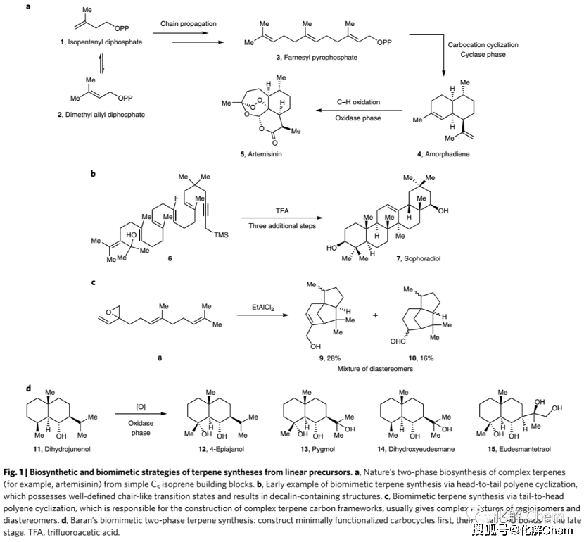 【全合成】Barry M. Trost 团队 Nature Chemistry_Fig