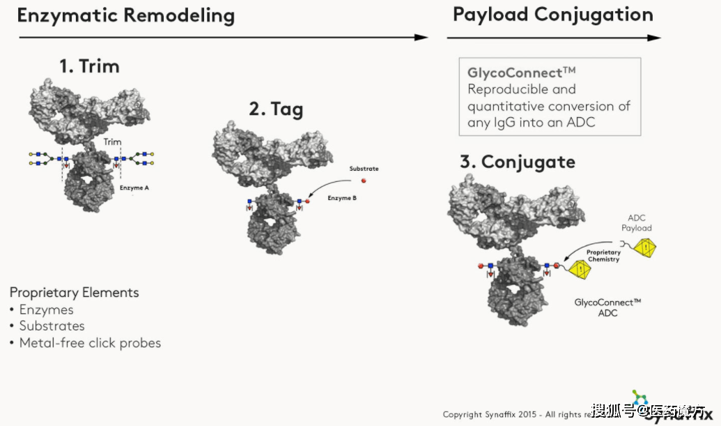 多项授权合作，Synaffix公司ADC专利技术解析_抗体