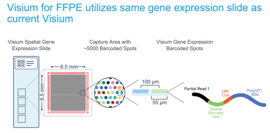 10x Genomics FFPE样本的空间多组学解决方案可以尝鲜了！_Visium