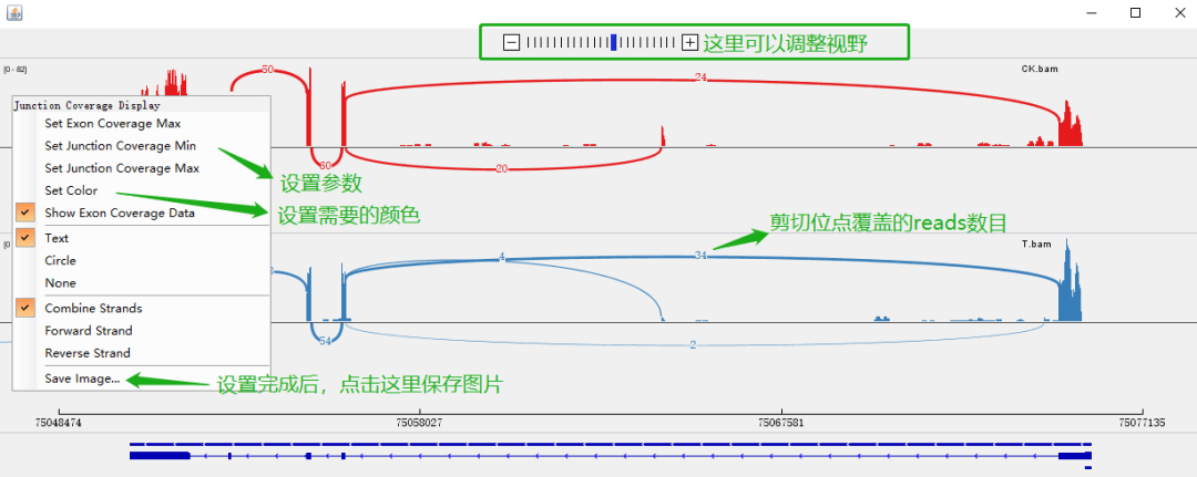 干货！IGV快速入门手册_操作