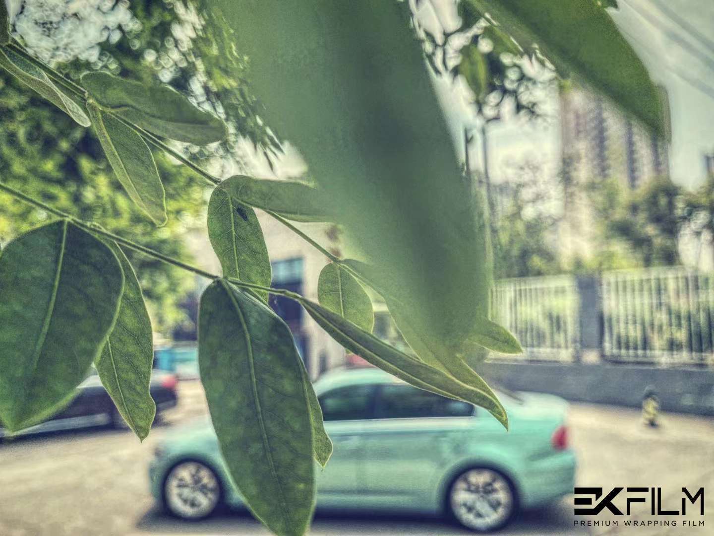 EKFILM改色膜出品：宝马3系—梦幻松石灰_搜狐汽车_搜狐网