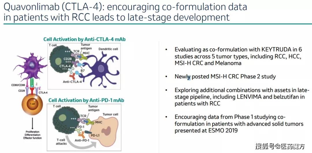 干货！默沙东公布肿瘤产品管线概况（附PPT）_治疗