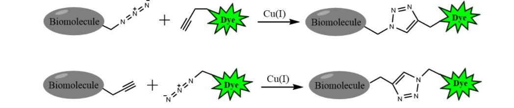 红色荧光四甲基罗丹明叠氮化物 5-TAMRA-Azide，1006592-61-5溶解性_反应
