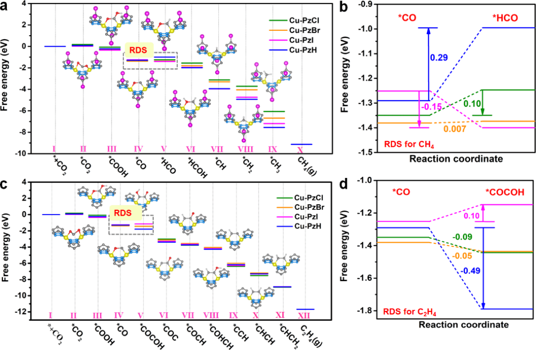 Angew : 局部配位微扰双铜位点电还原CO2选择性制碳氢产物_Cu-PzH