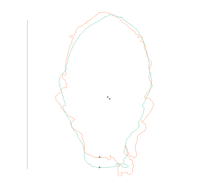 Momocs：用R进行表型变化分析_coo
