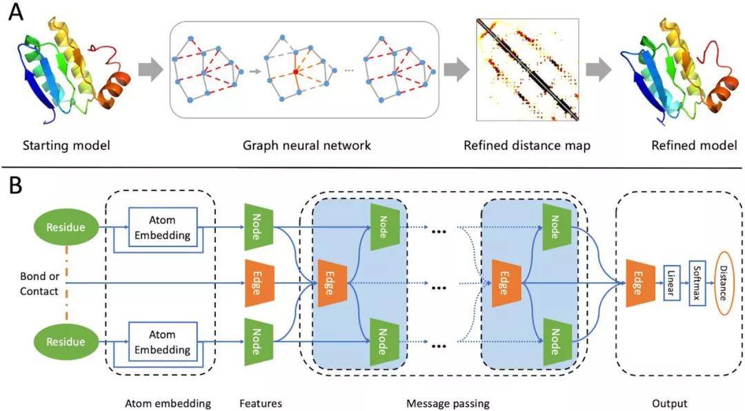 Nat. Comput. Sci. | 深度图神经网络有效加速蛋白模型优化_方法