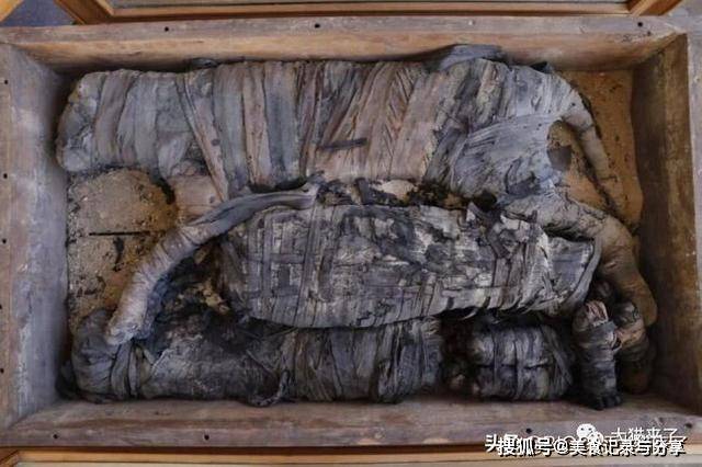 2600年前！埃及首次发现完整狮子木乃伊，体长不足1米，至少有2只_古埃及