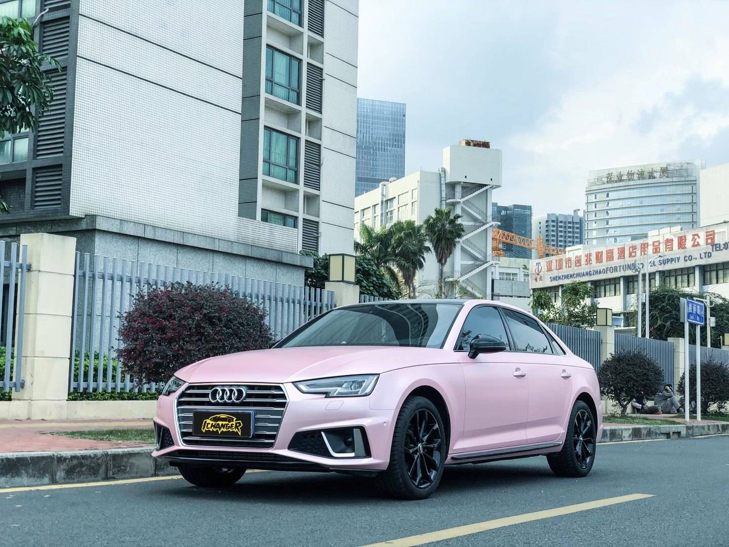 奥迪A4L汽车Ichanger（ICR）改变者电光樱花粉_搜狐汽车_搜狐网