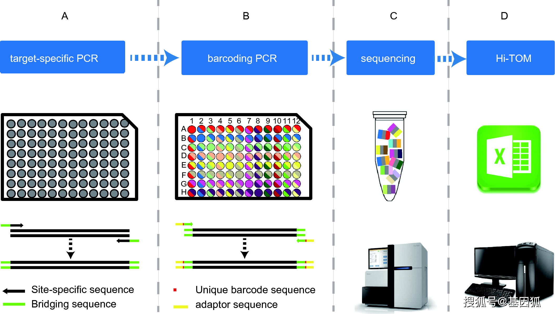 Hi-TOM：基因编辑突变测序技术简介_分析