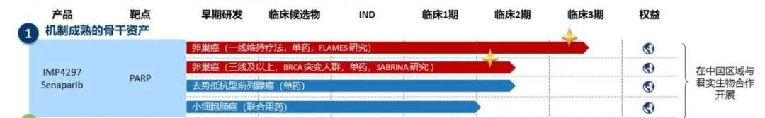 英派药业包骏：精耕细作“合成致死” 新兴靶点方兴未艾_药物_全球_博士