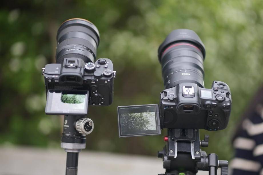 【旅拍经验分享+对比评测】佳能EOS R5和索尼A7R4，哪一台更适合？_相机_视频_分辨率