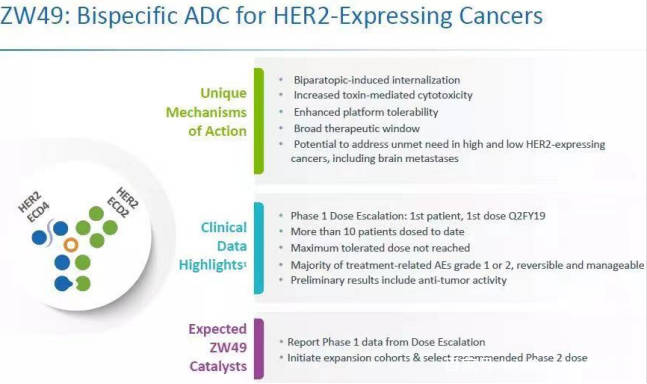2021年终盘点 | 双抗研发波澜壮阔，弄潮正当时_上市_药物_治疗