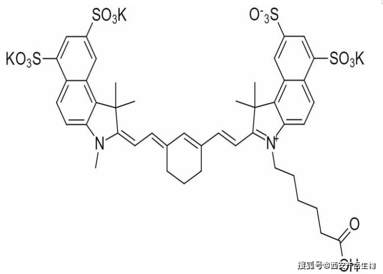Sulfo-Cy7.5 carboxylic acid;Sulfo-Cy7.5 COOH;磺化水溶性CY7.5羧酸荧光染料_Cyanine ...