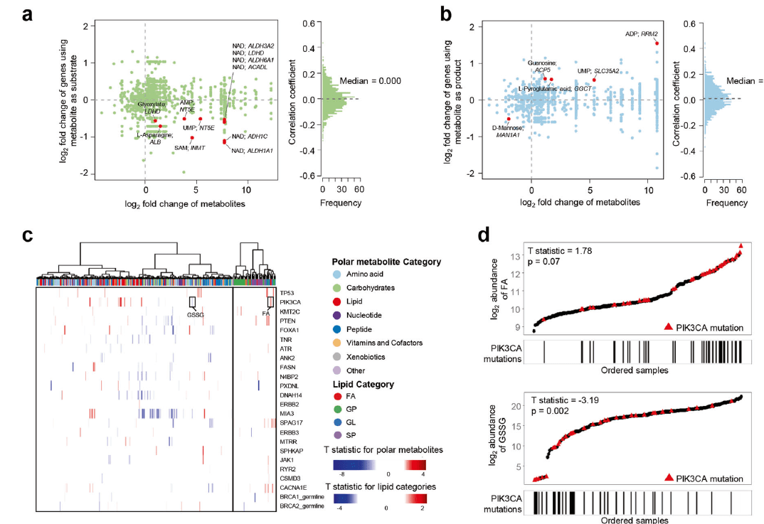 代谢组&乳腺癌|系统代谢组学开拓三阴性乳腺癌精准治疗新视角_亚型_研究_肿瘤