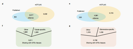 单细胞联合还能这样玩，单细胞和EQTL联合分析确定疾病机制和潜在的治疗方法_基因组_scATAC_研究