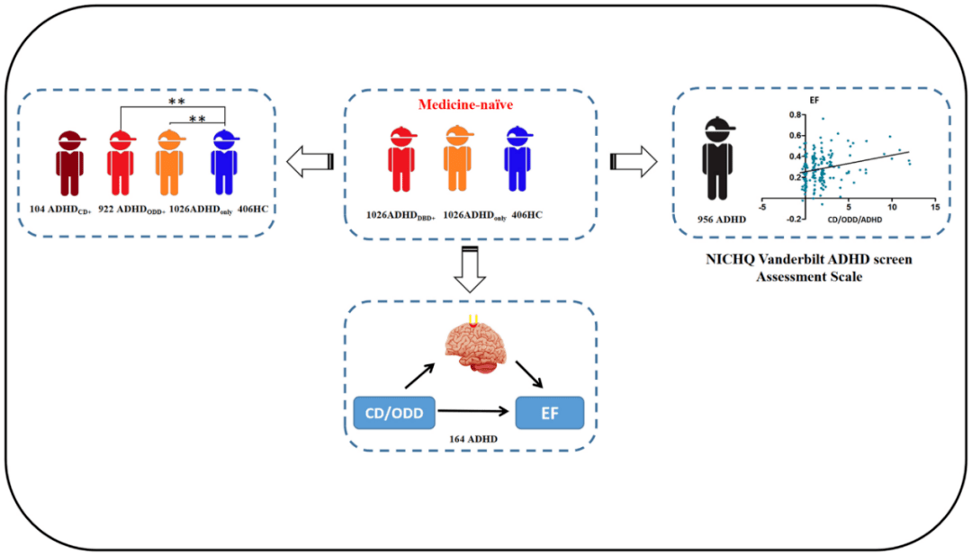 IF=13.89：慧创NirScan全脑fNIRS联袂北医六院实现两千余例儿童多动症临床研究_障碍_功能_合并