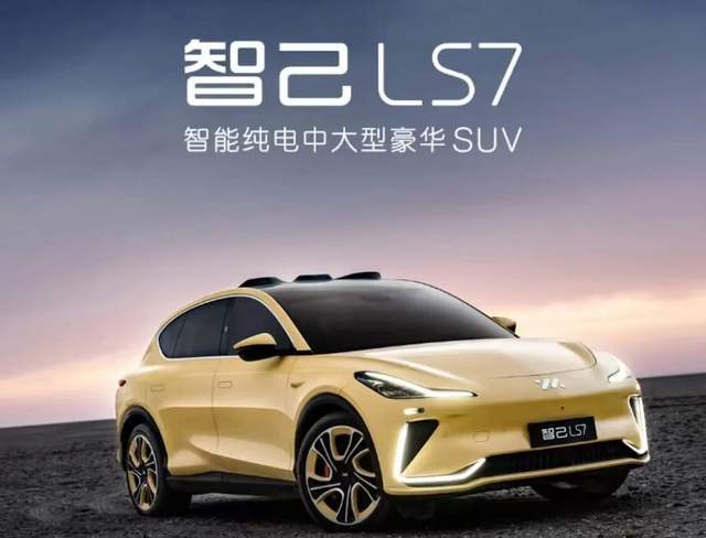 预售1个月订单过万，智己汽车联席CEO刘涛：LS7有三个差异化优势_搜狐汽车_搜狐网