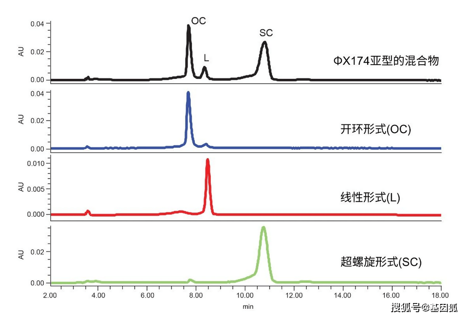 经验分享:利用阴离子交换色谱法 Aex 进行质粒同质性分析简介 亚型 形式 线性