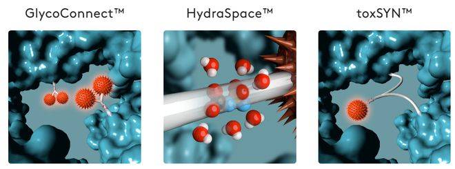 国外主要ADC技术梳理（上）_药物_平台_毒性