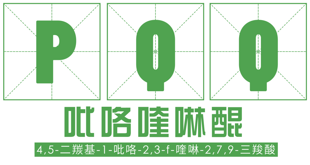 为何PQQ和辅酶Q10的搭配使用成为健康领域的热门话题？_线粒体_功能_细胞