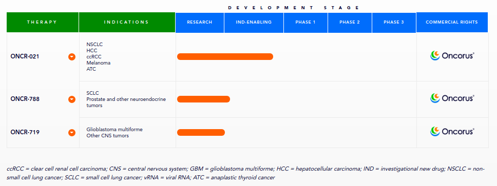 曾经的溶瘤病毒 “明星”开掉CEO、COO 裁员清算：Oncorus的出现又离开_公司_肿瘤_改造
