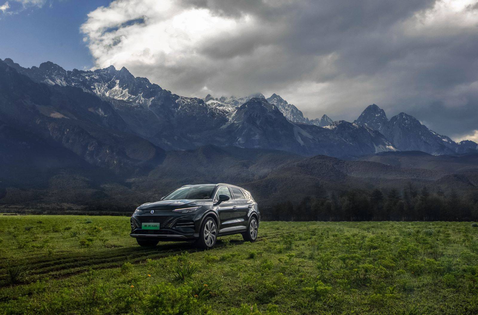 感恩十万用户，腾势N8正式上市，并加推D9 DM-i 965尊享型_搜狐汽车_搜狐网