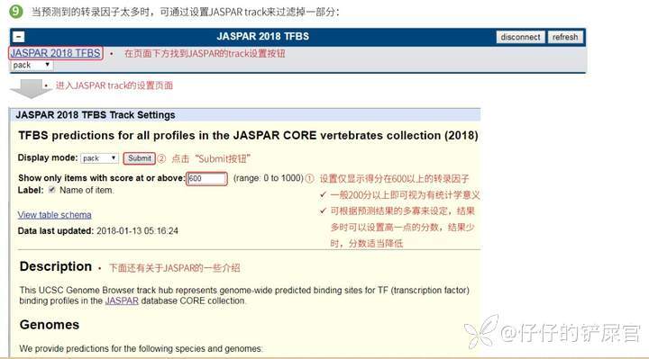 【科研工具包】转录因子预测及优化策略 ——JASPAR、NCBI、UCSC数据库联用_基因_序列_位点