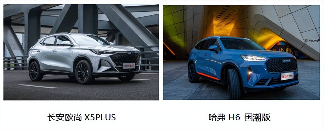 打卡盖章开什么车！一文解答长安欧尚X5PLUS还是哈弗H6国潮版_搜狐汽车_搜狐网